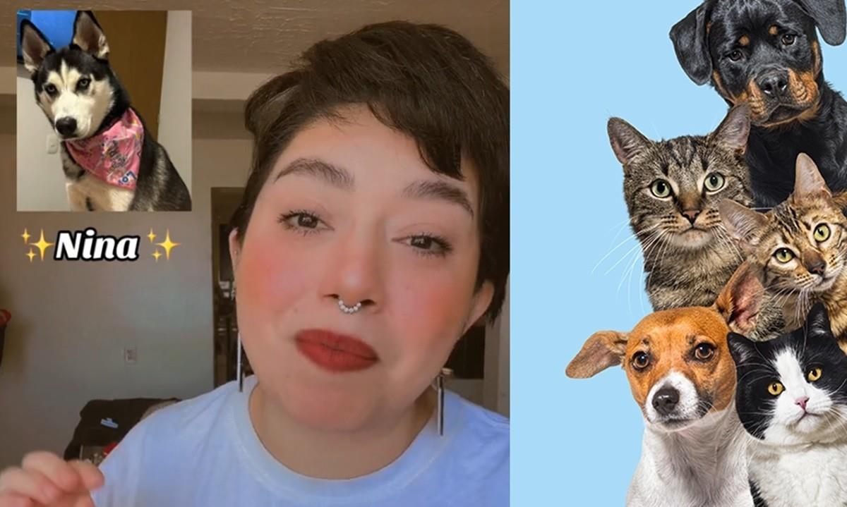 Tiktoker asegura comunicarse con los animales ¿Cuánto cuesta la sesión ... Tiktoker asegura comunicarse con los animales ¿Cuánto cuesta la sesión ...