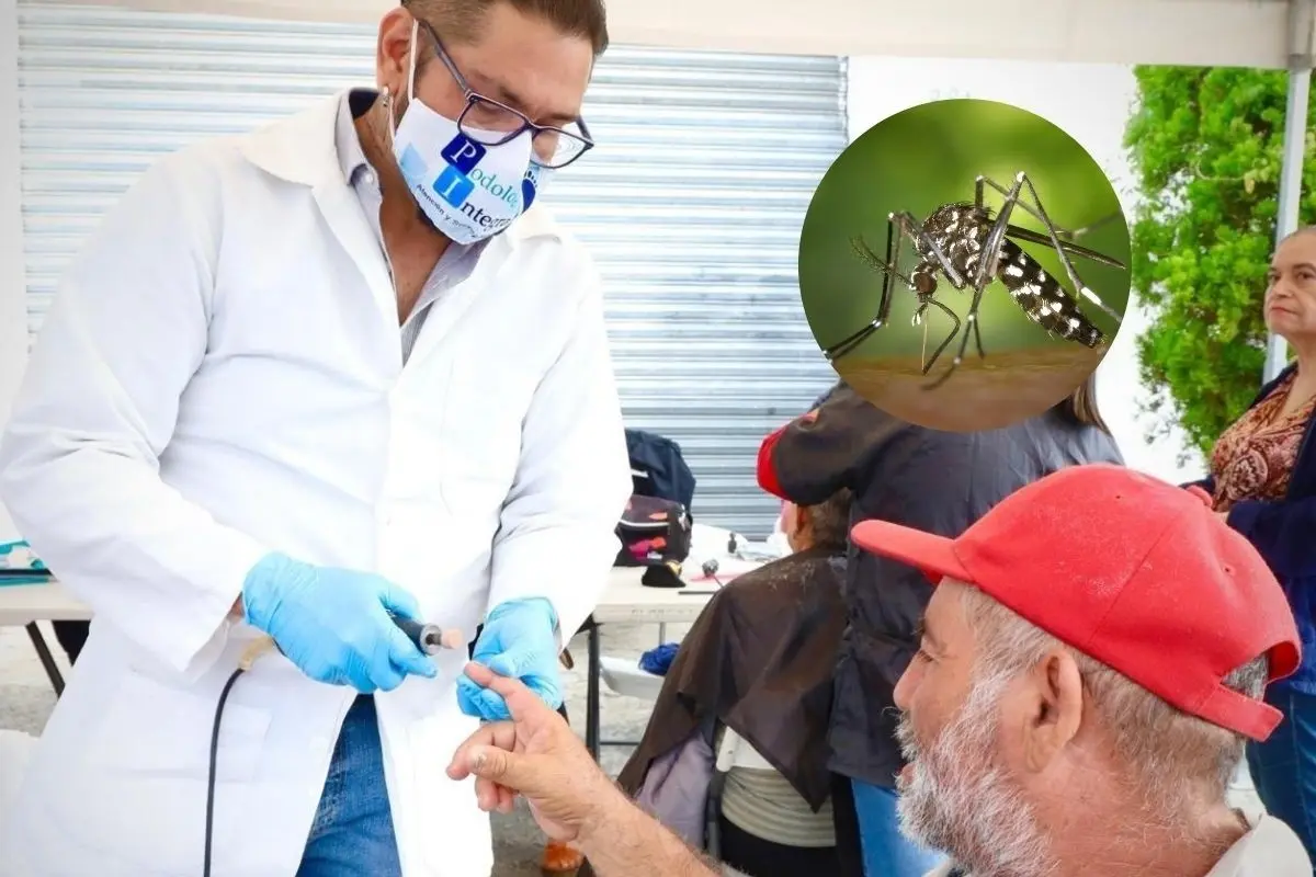 ¿Sabías que algunos síntomas del dengue y la influenza son similares? Conoce las diferencias ...