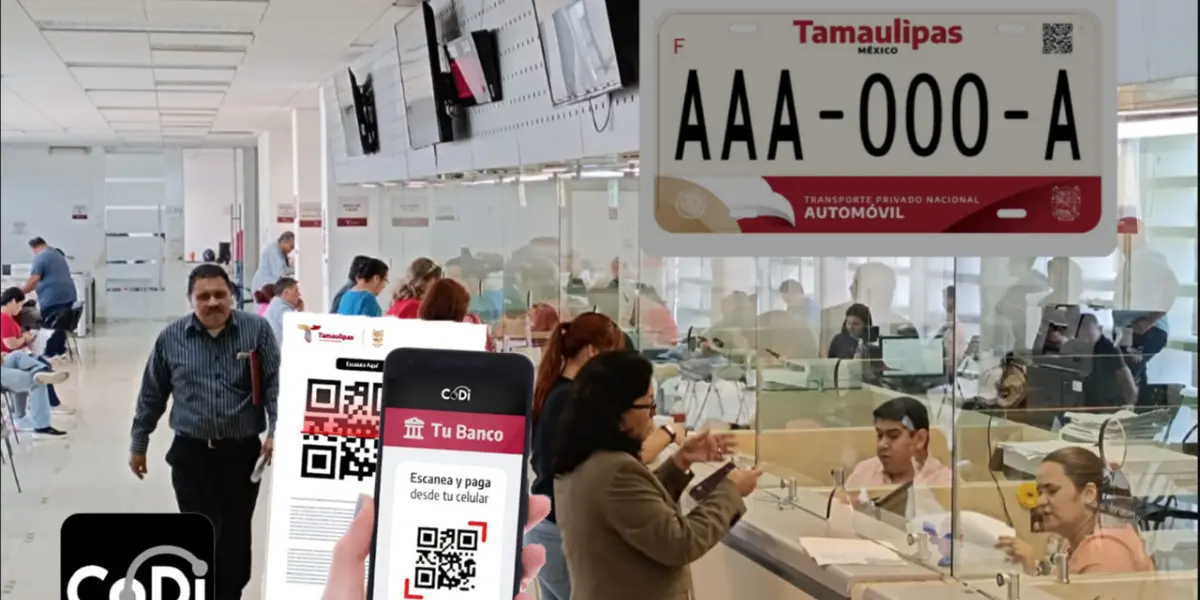 Paga el canje de placas desde tu celular y en pocos pasos con este método - POSTA México