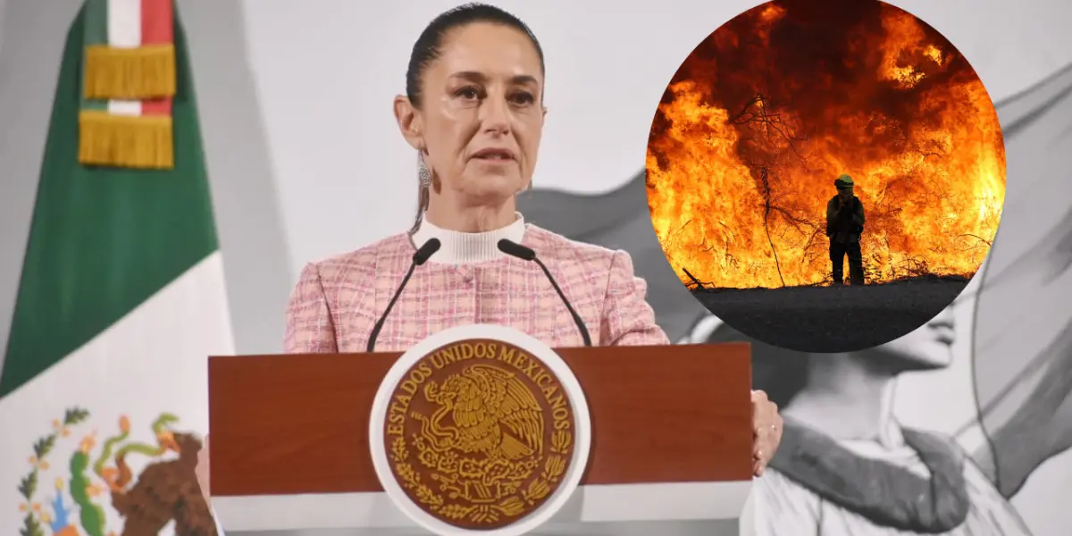Claudia Sheinbaum anuncia programa especial para mexicanos afectados por incendios de Los ...